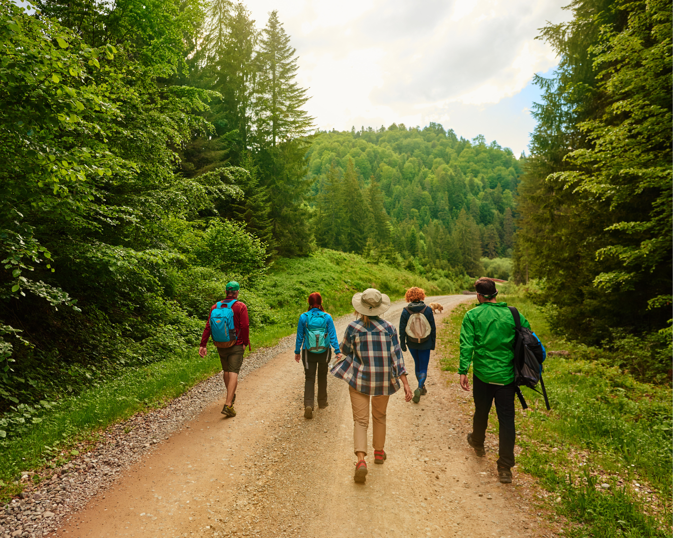 Rising Through Resilience: 10 Ways to Empower Students to Thrive in the ...