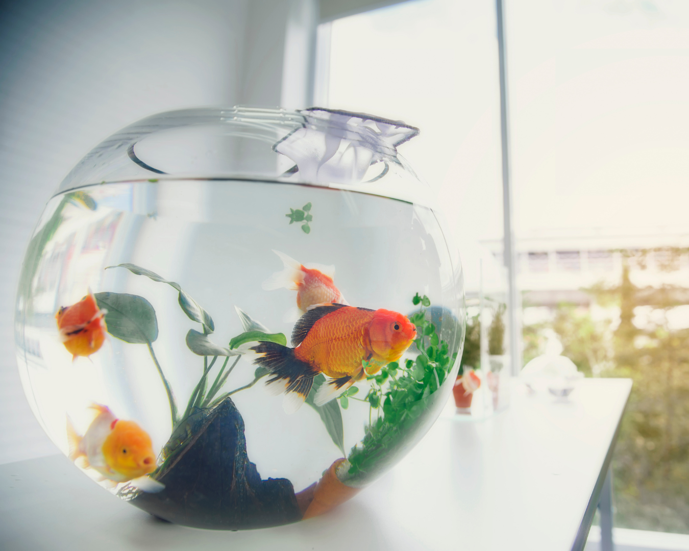More Than Just a Login: How to Build Virtual Relationships That Truly ...